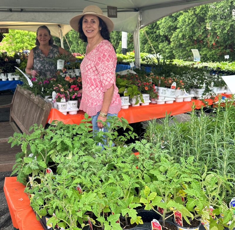 Gallery – Shippan Point Garden Club